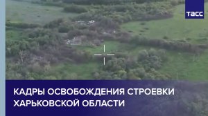 Кадры освобождения Строевки Харьковской области