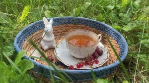 Находки для дома в Фамилии
