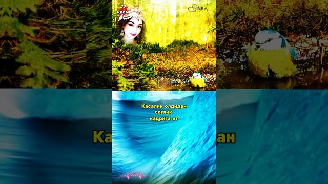 Беш кунлик дунё 😭 😢 😥