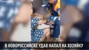 В Новороссийске домашний удав напал на собственную хозяйку и покусал ее