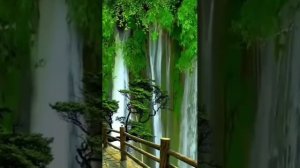 VID-20250529-WA0093