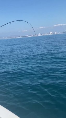 Рыбачим мерланга в Адлере.