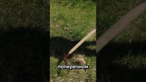 Восстановление газона после зимы с помощью ORGANICUM и ORGANOFERT