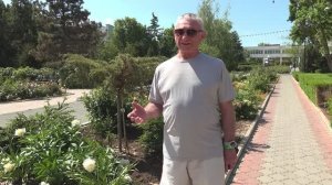 Отзыв о санатории Пирогова - Виктор из Твери