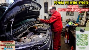 TOYOTA VELLFIRE/ALPHARD HYBRID: замена тормозной жидкости