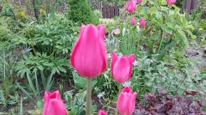 Прекрасный май🌷🎶