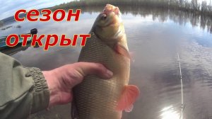 Не ждал такого открытия, рыбачим с дедом.