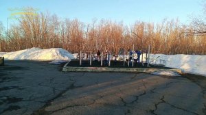 Воркута. 28.05.25. Городской парк. Лето приближается!