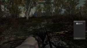 Skyrim с модами №42