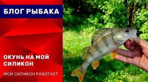 Ловлю окуней на самодельный силикон l Спиннинг в мае l Ультралайт