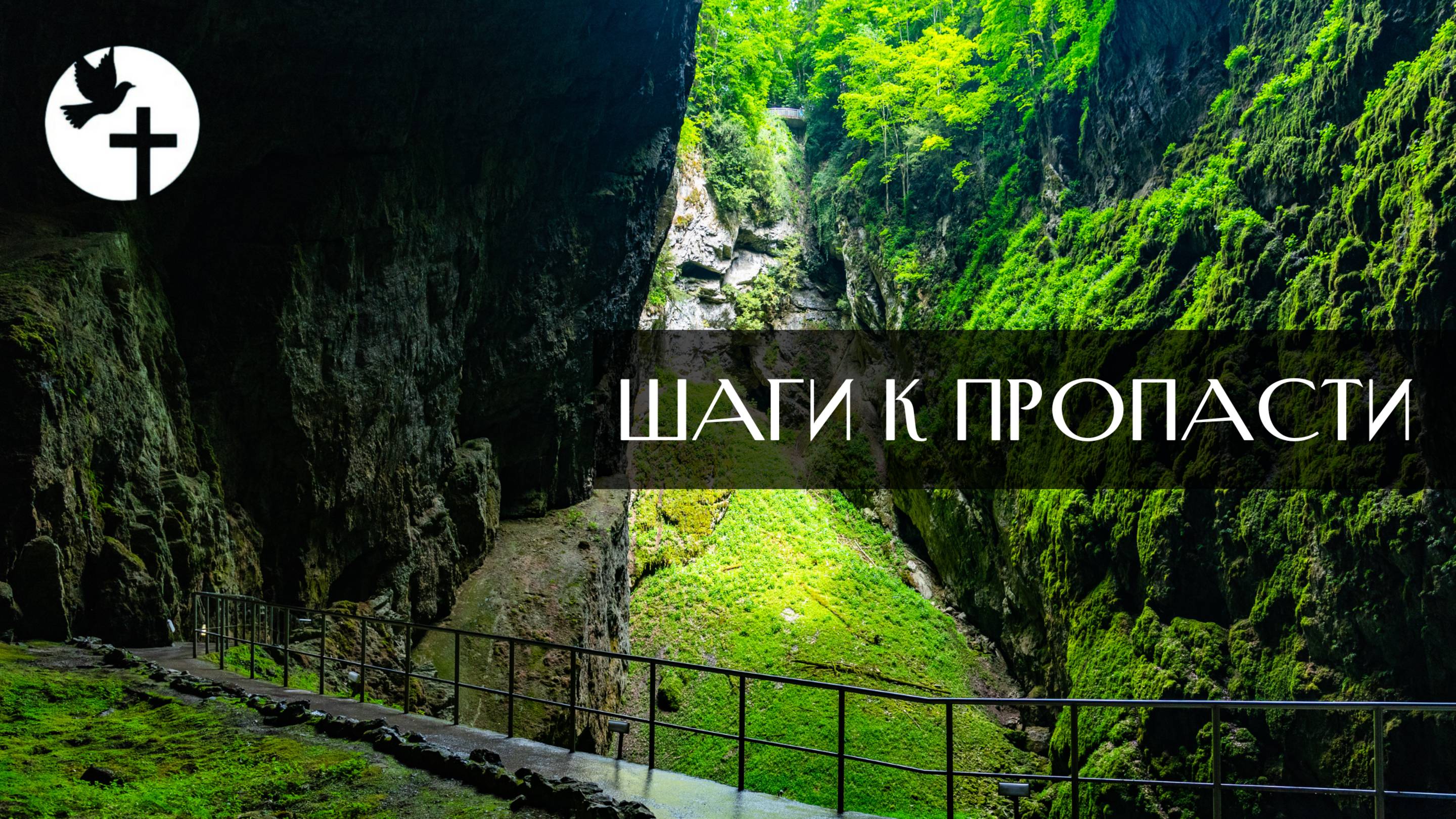 ШАГИ К ПРОПАСТИ | Проповедует Александр Алфёров | 18 мая 2025