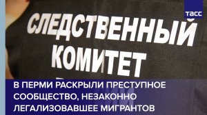 В Перми раскрыли преступное сообщество, незаконно легализовавшее мигрантов