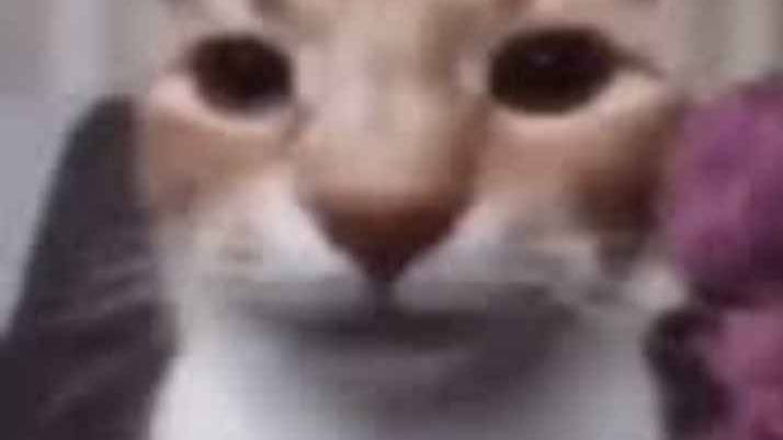 Antimony.exe (skidded)