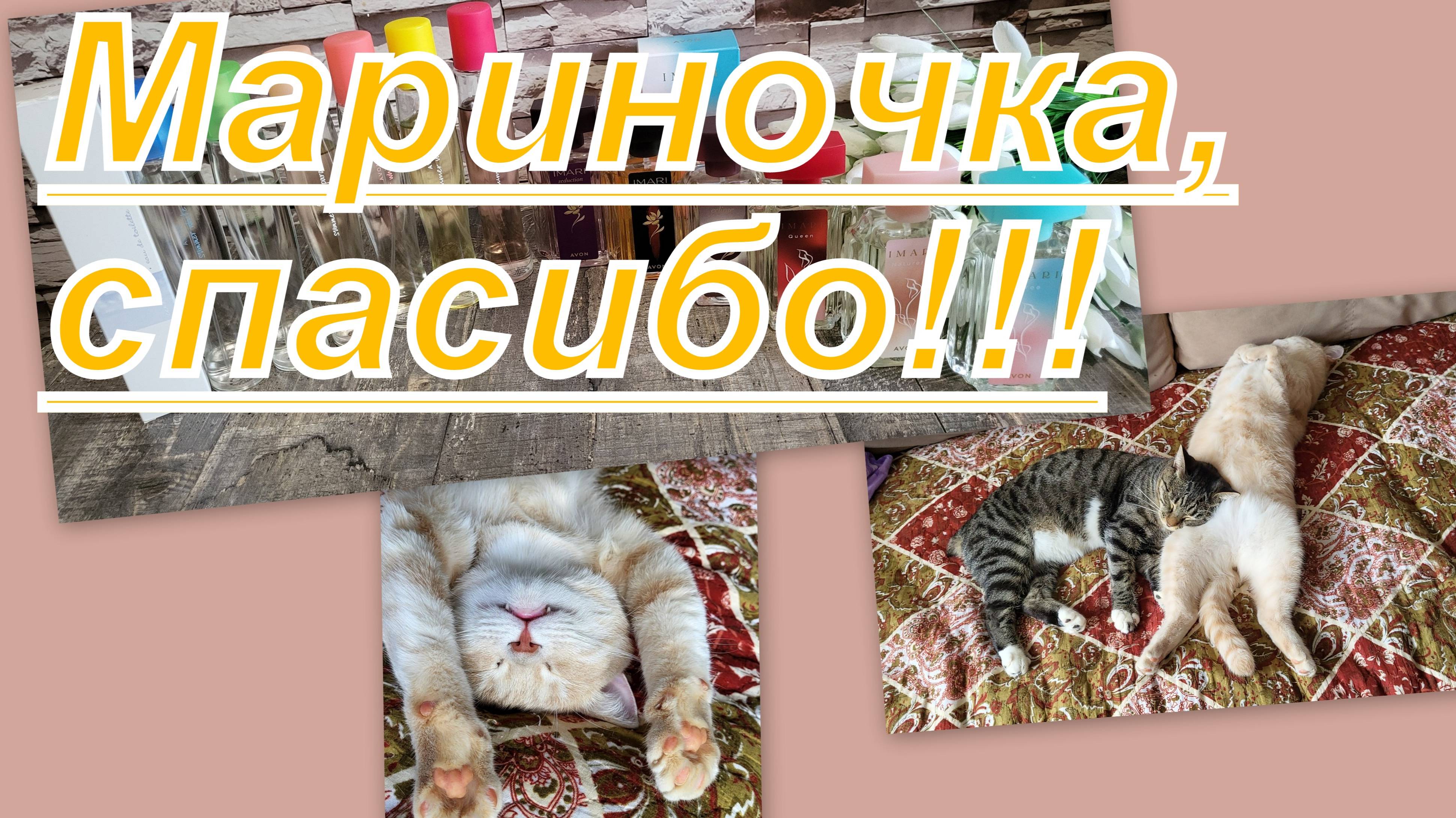 ВЛОГ: ПОДАРКИ ОТ МАРИНЫ И БЫТ ПУШИСТИКОВ...)))