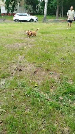 Я не трус, но я боюсь😁 
Там такая красотка для Сени