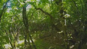 Прогулка вдоль горы Таракташ.Село Дачное. Судакский регион. Май 2025.