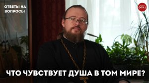 Что чувствует душа после смерти? / священник Александр Ермолин