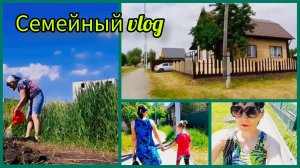 В деревню пришло лето.Сею семена редиски и огурцов.Приготовили ароматную пиццу.Жуткая жара.