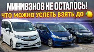 СКУПИЛИ ВСЕ АВТОБУСЫ ❗️ ЛУЧШИЕ МИНИВЭНЫ ИЗ ЯПОНИИ ЗА МИЛЛИОН РУБЛЕЙ