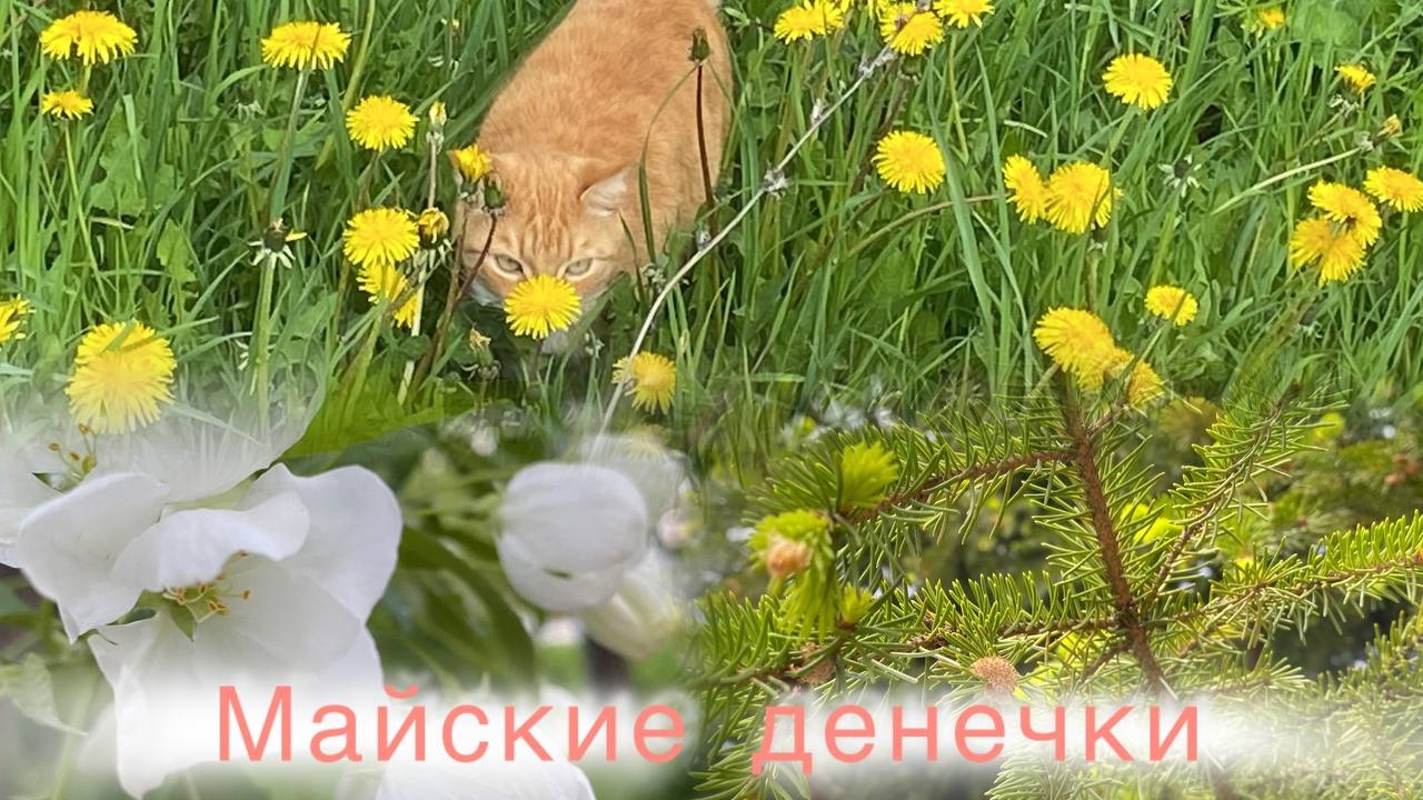 Наслаждение весной