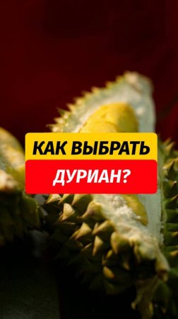 Карточка видео