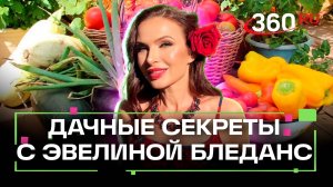 Как добиться богатого урожая. Идеи для декора на даче. Польза укропа. Дача 360. Эвелина Бледанс