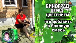 Обработка винограда перед цветением Что добавить в баковую смесь