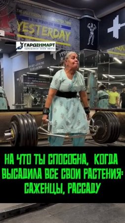 На какой стадии дачный сезон находится у вас? Все посадили?