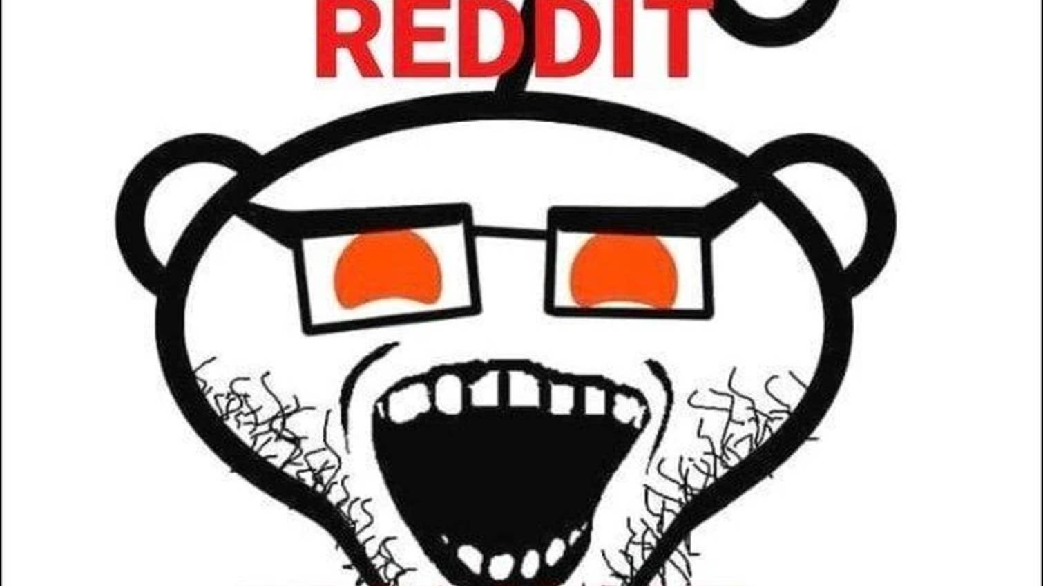 The Reddit moment the good version