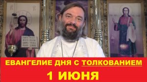 Евангелие дня 1 июня с толкованием. Священник Валерий Сосковец
