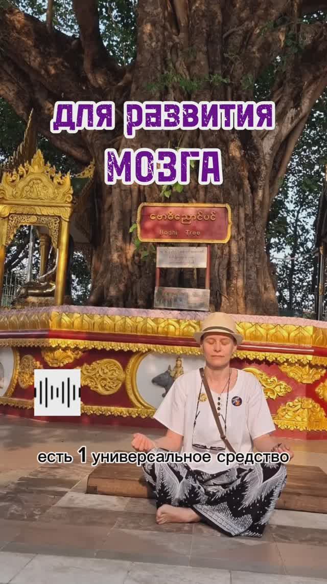 развитие мозга