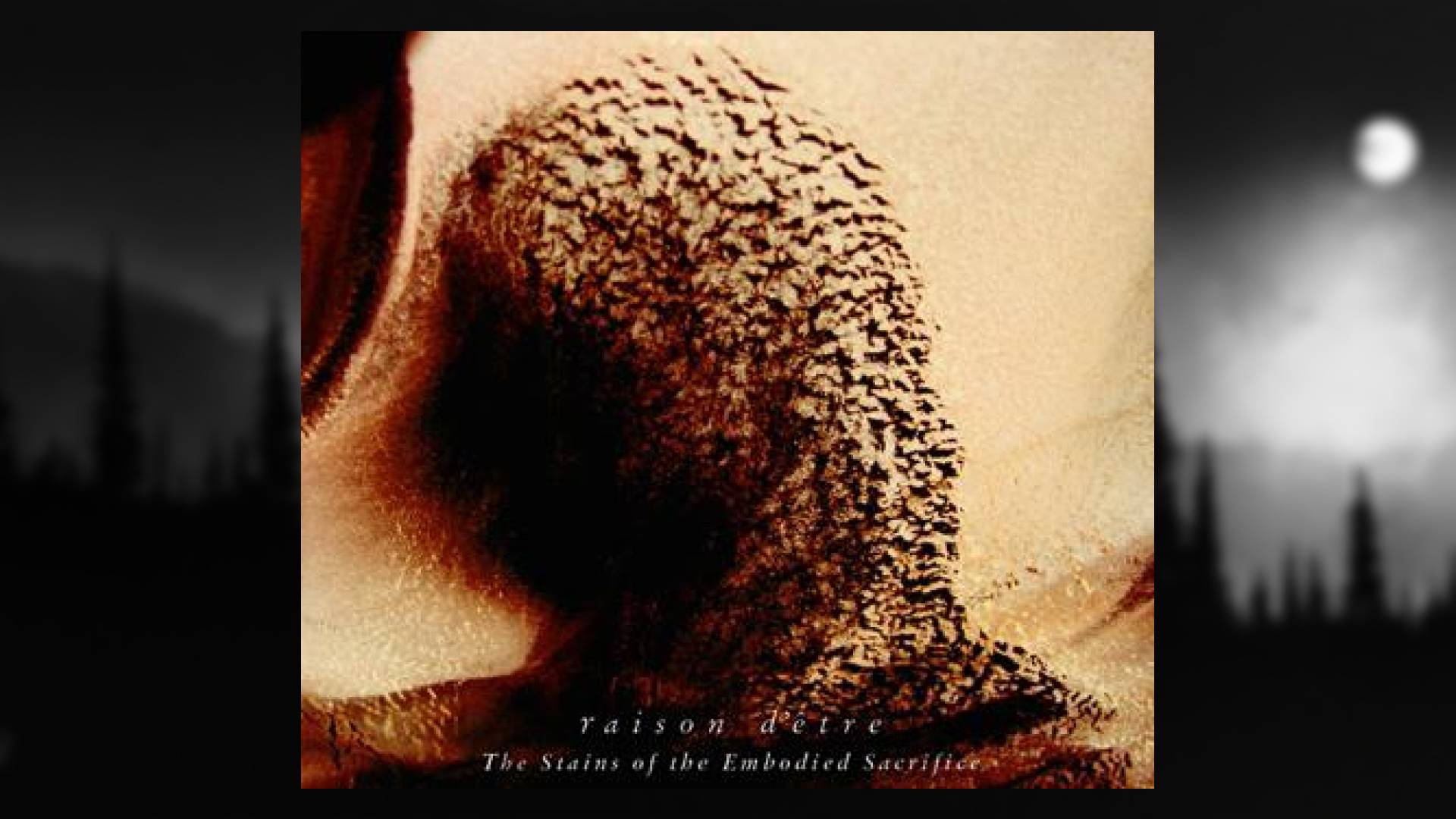 Dark Ambient ✷ raison d'être - The Stains of the Embodied Sacrifice (Full Album)