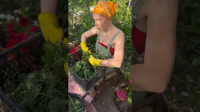 Удобрение