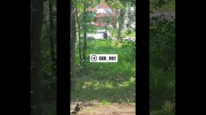 Ул. Черепанова. 

Отплясывает с самого утра, вот что значит : "встала с той ноги"!😄