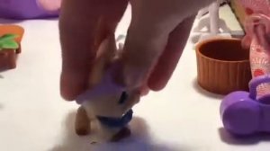 Littlest Pet Shop: Дерзкое Сердце ( short film)