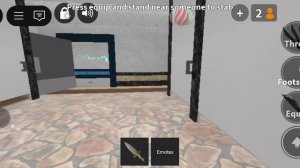 играю в фейк мм2 с подругой