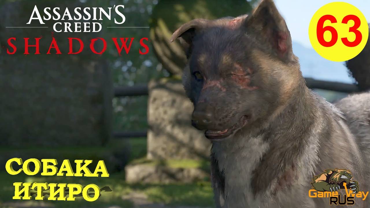ASSASSIN'S CREED SHADOWS #63 🎮 PS5 СОБАКА ИТИРО. Прохождение на русском.