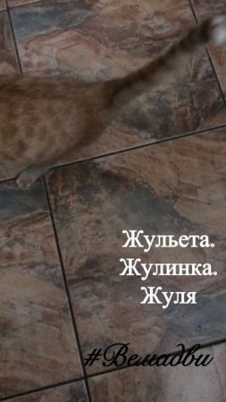 Никогда не оставит цветы без внимания)