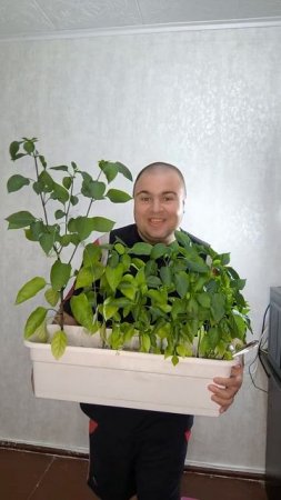 Ну что же ты, моим цветам совсем не рада
