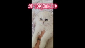 как злится Марго