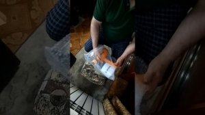 Краскопульт ВИХРЬ
