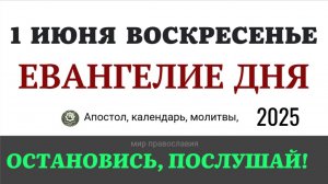 1 июня воскресенье Евангелие дня 2025 с толкованием