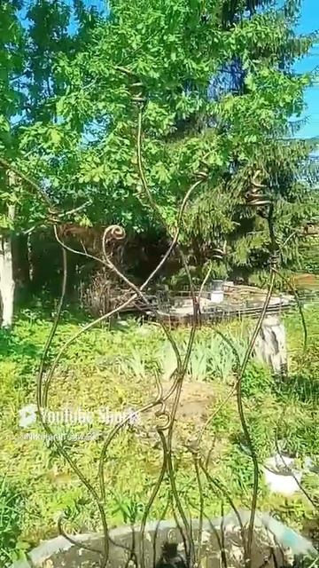 Шпалера для клематиса.