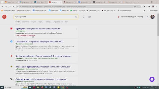 Как в описание моего домена egoexpert.ru  попал  телефон из яндекса