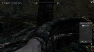 Skyrim с модами №44