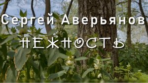 Сергей Аверьянов,  Нежность, посвящение Майе Кристалинской. Музыка для души