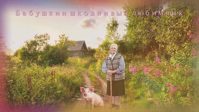 Бабушкин шкодливый любимчик