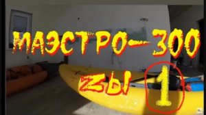Маэстро-300-Zы. Часть 1