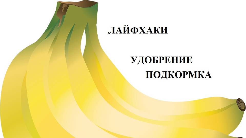 Лайфхаки.  Хитрость или полезный совет. Как вырастить хороший урожай. Удобрение. Подкормка. Овощи