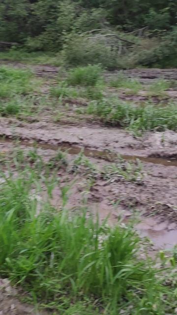 kayo t2 enduro forest ride